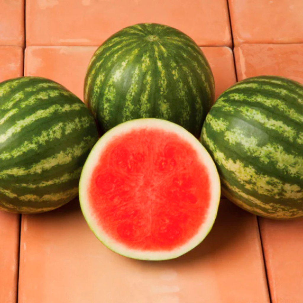 Sandia Sirius Mini – tuAgricola